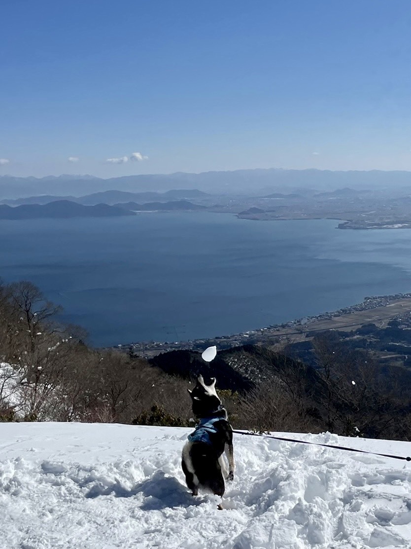 雪玉キャッチ 決定的瞬間 / Corchanさんのモーメント | YAMAP / ヤマップ