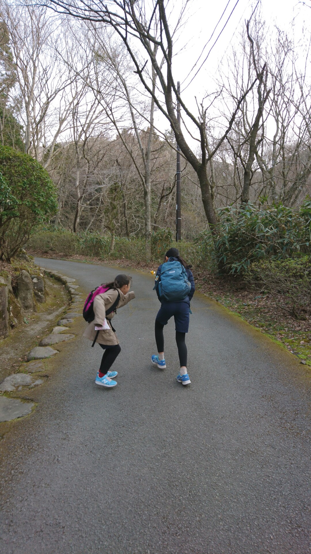 金時山 ファミリー登山 / shominさんの金時山・明神ヶ岳の活動データ | YAMAP / ヤマップ