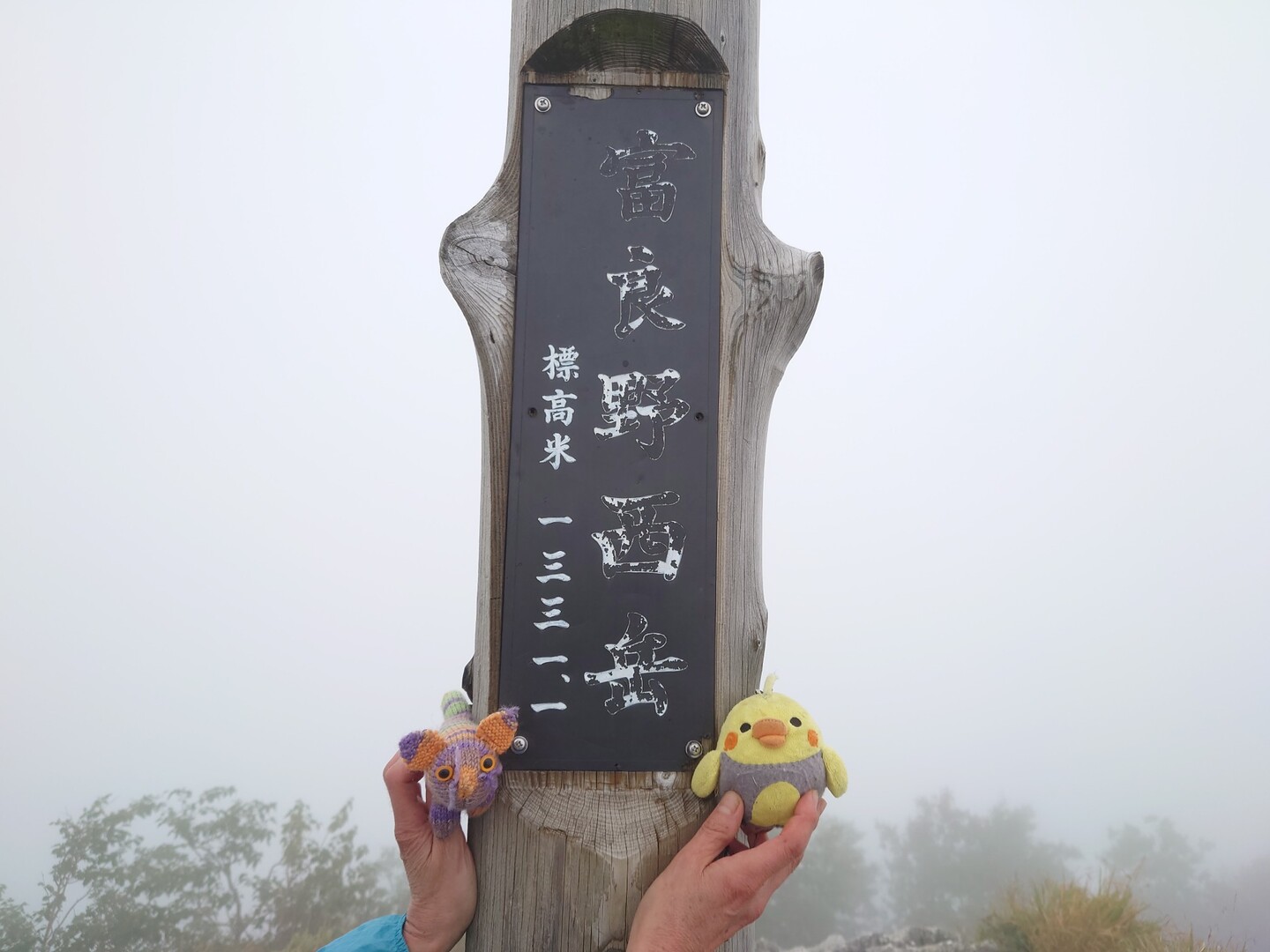 富良野西岳（北海道百名山） / fujisunさんの富良野西岳の活動データ | YAMAP / ヤマップ