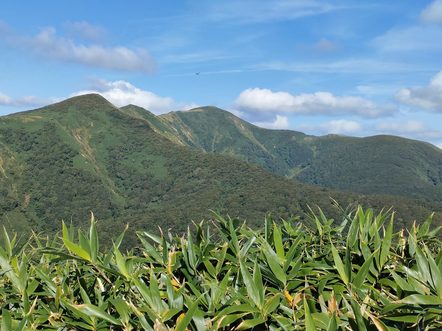 和賀岳 / oka-okaさんの和賀岳・薬師岳・高下岳の活動データ | YAMAP / ヤマップ