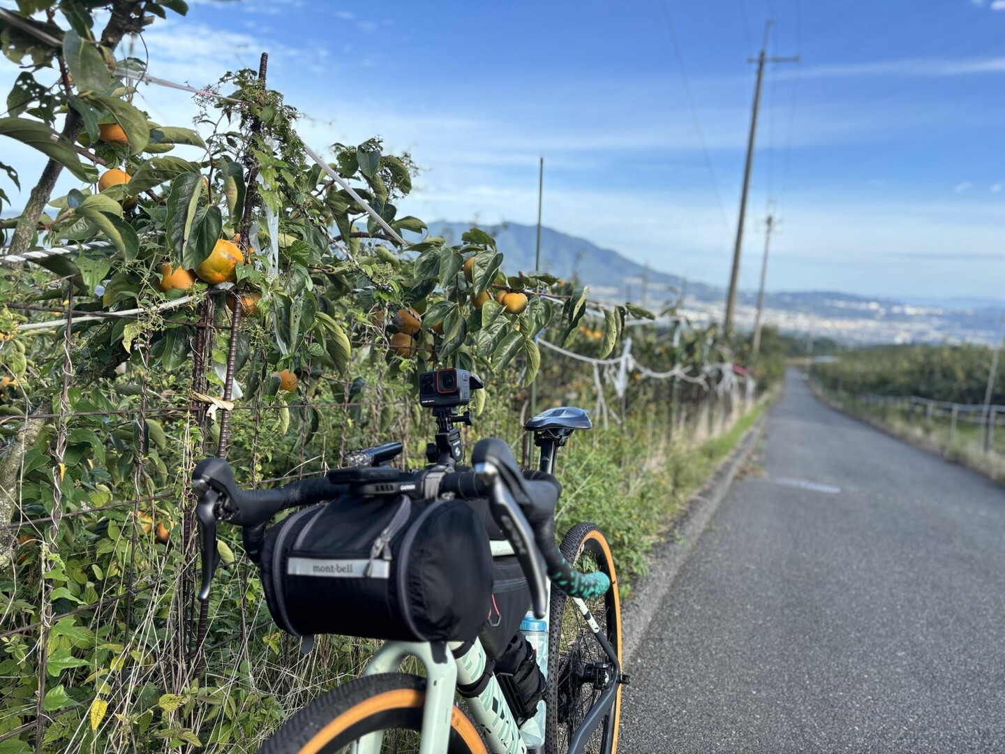 かき！ふき！うんかい！ / k_ta3736さんの熊野古道 小辺路の活動データ | YAMAP / ヤマップ