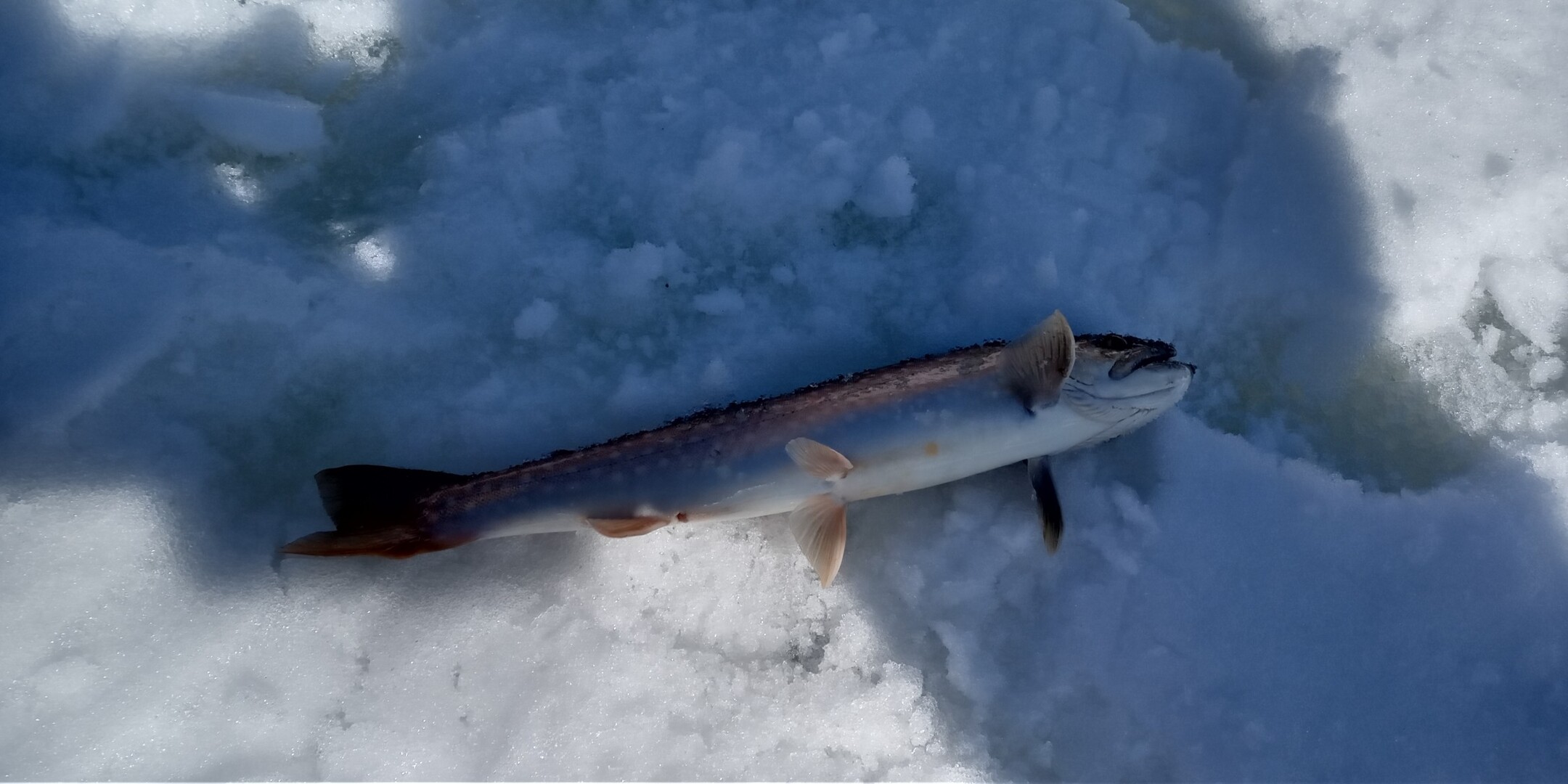 岩洞湖No10-通算523 岩洞湖もラス... / bakkyさんのモーメント | YAMAP / ヤマップ