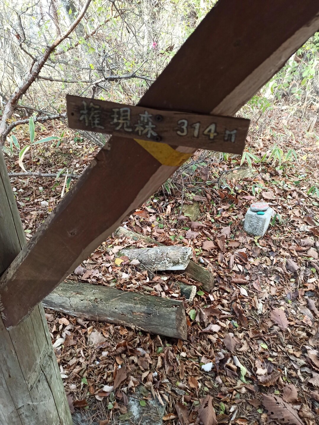 権現森・権現森北峰・権現森南峰 / kost_japさんの権現森の活動データ | YAMAP / ヤマップ