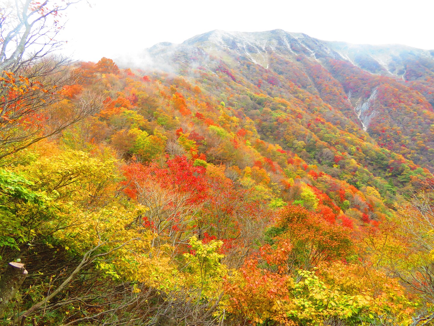 弥高山・伊吹山 / ibizouさんの伊吹山・伊吹高原・御座峰の活動データ | YAMAP / ヤマップ