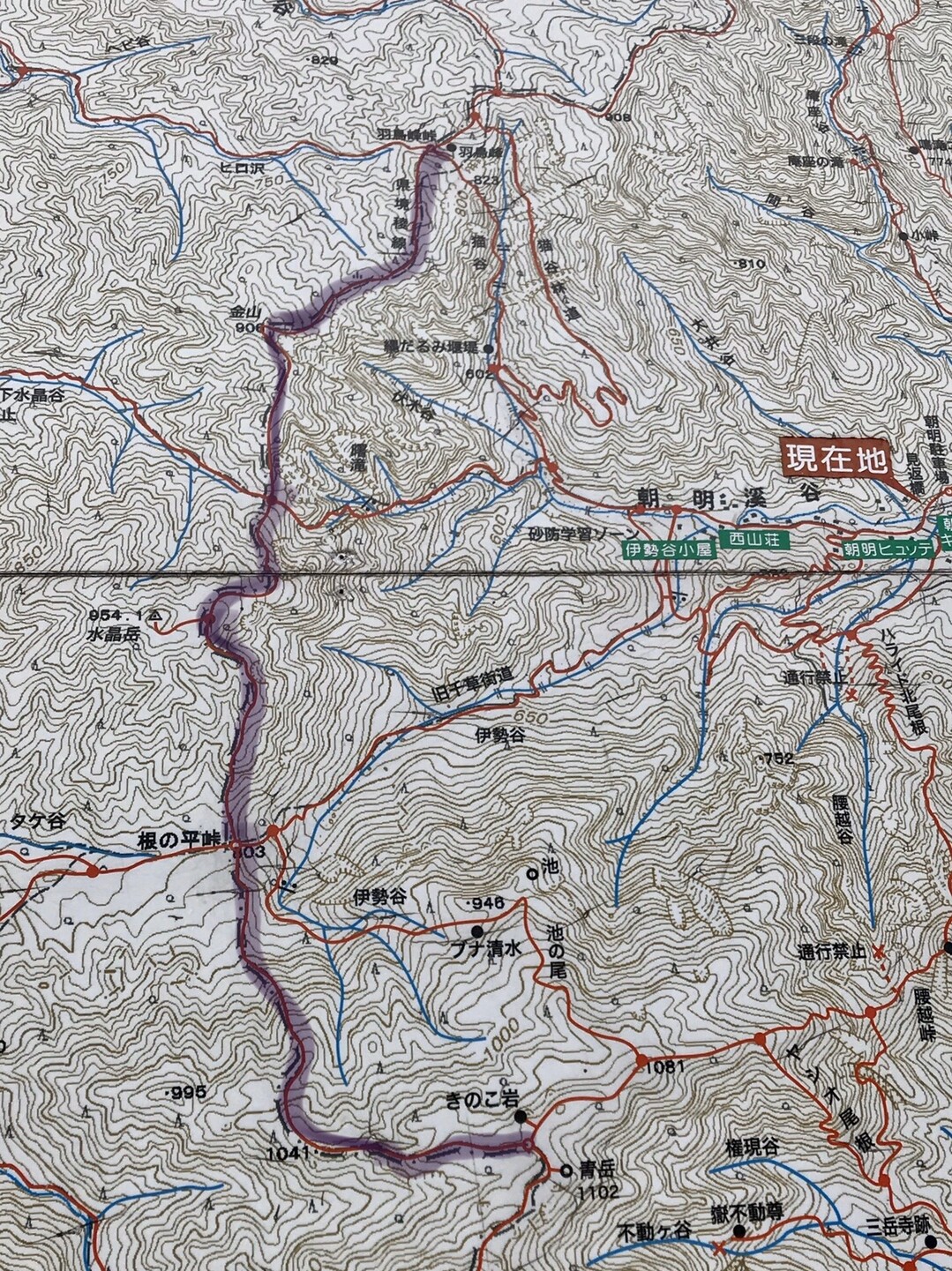 鈴鹿、県境稜線（羽鳥峰からキノコ岩分岐）-2020-03-30 / hana356さんの釈迦ヶ岳の活動データ | YAMAP / ヤマップ