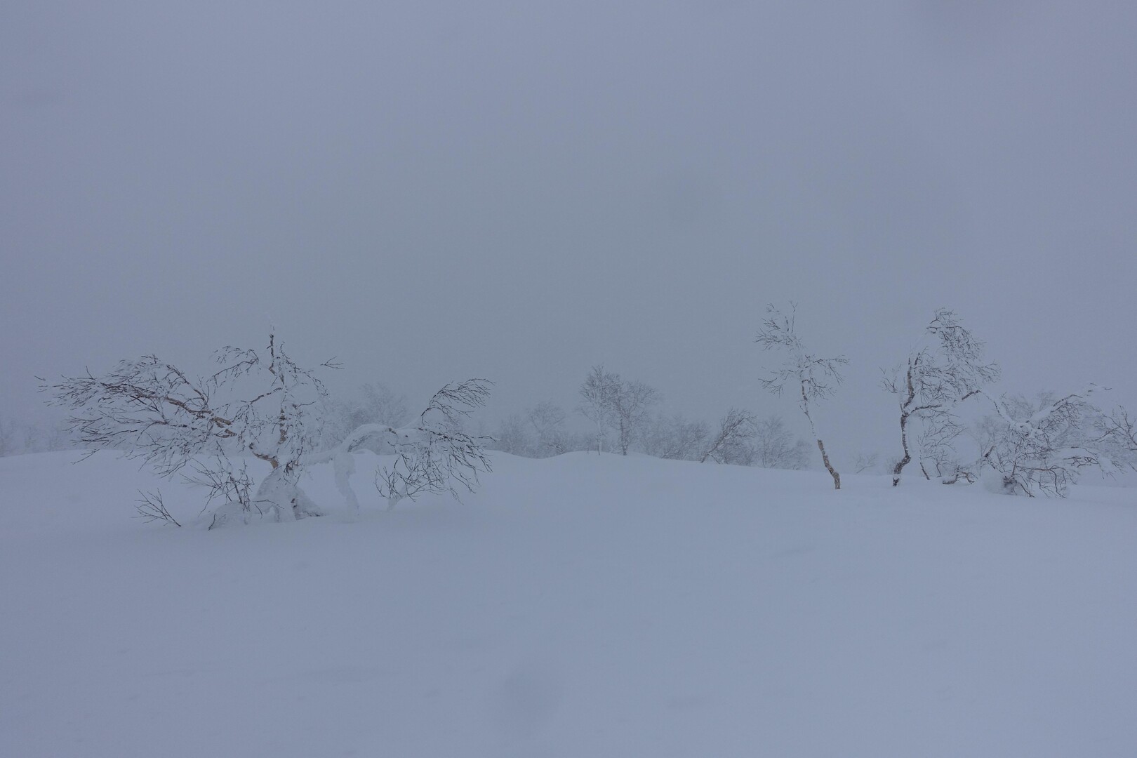キロロ 1107峰BC / Ryoさんの余市岳・定山渓天狗岳の活動日記 | YAMAP / ヤマップ