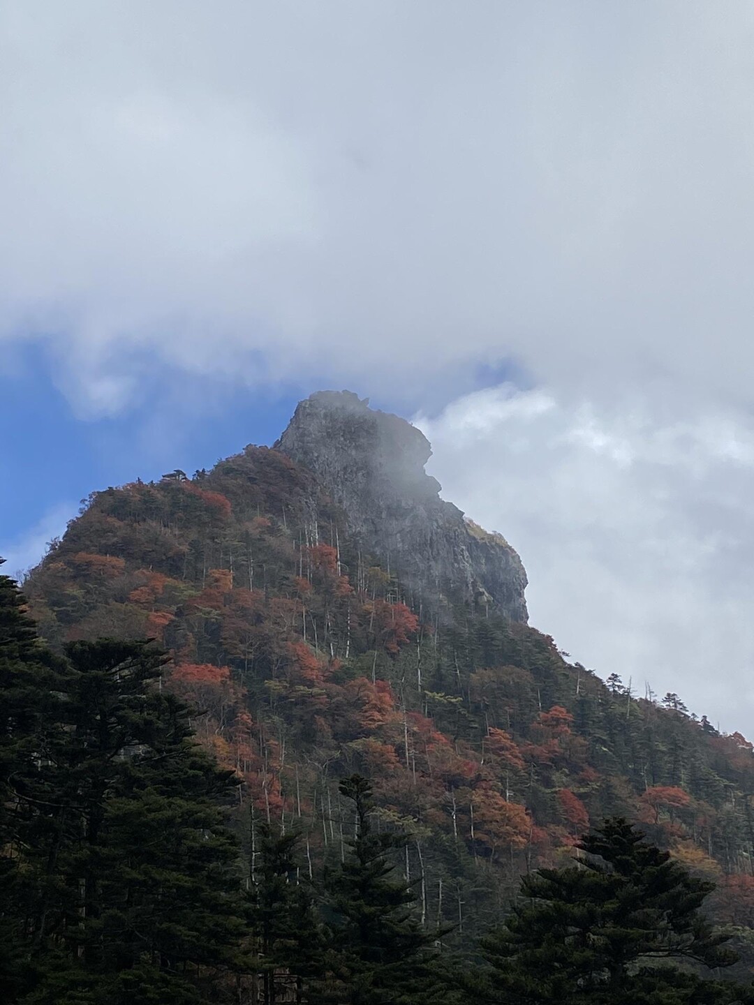 紅葉MAX！ガス時々晴れの面河ルート🍁 / tat-ninoさんの石鎚山・堂ヶ森・二ノ森の活動データ | YAMAP / ヤマップ