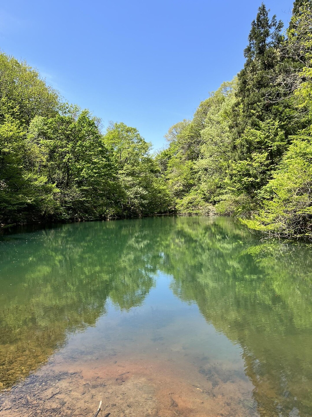 高野山・揚原山・蟹淵 / T2さんの遣水観音山・遊泉寺砂山・高野山の活動データ | YAMAP / ヤマップ