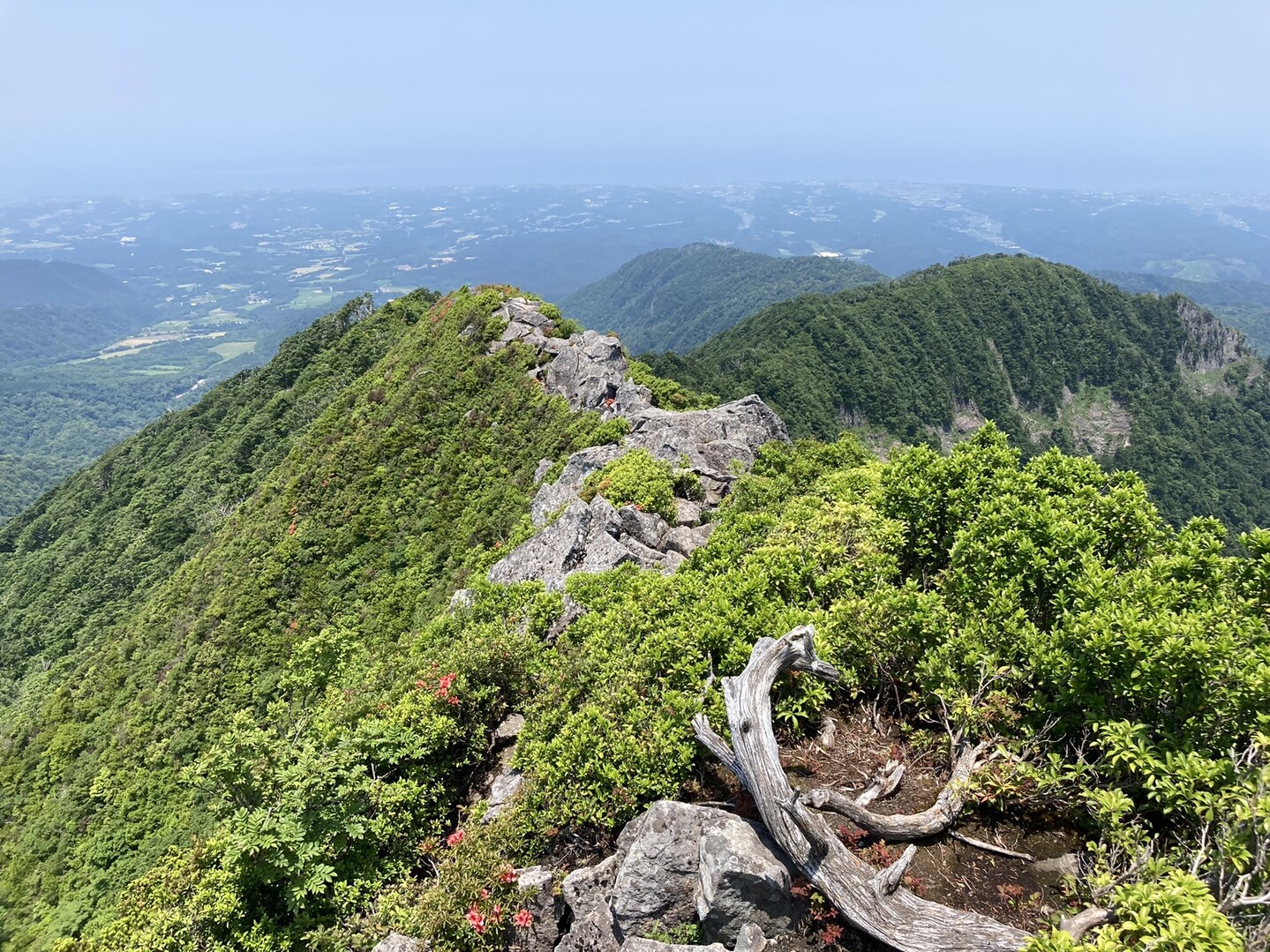 香取ルートで行く甲ヶ山・矢筈ヶ山 / masa599さんの大山・甲ヶ山・野田ヶ山の活動日記 | YAMAP / ヤマップ