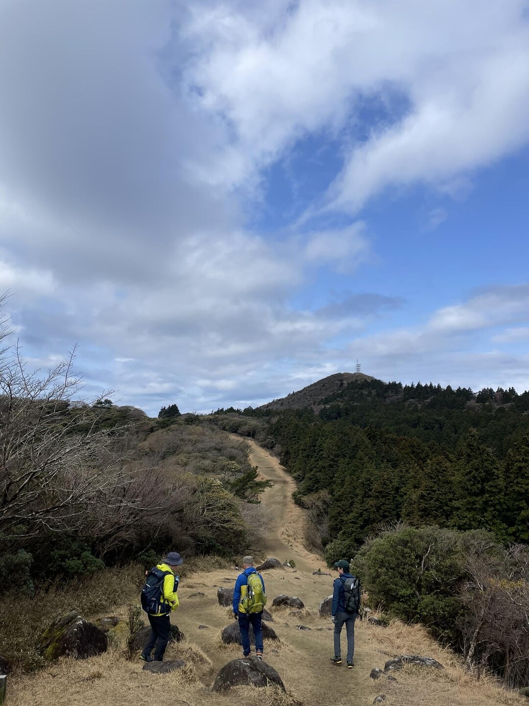 金冠山・小達磨山・達磨山 / 今ちゃんさんの金冠山・達磨山・葛城山の活動データ | YAMAP / ヤマップ