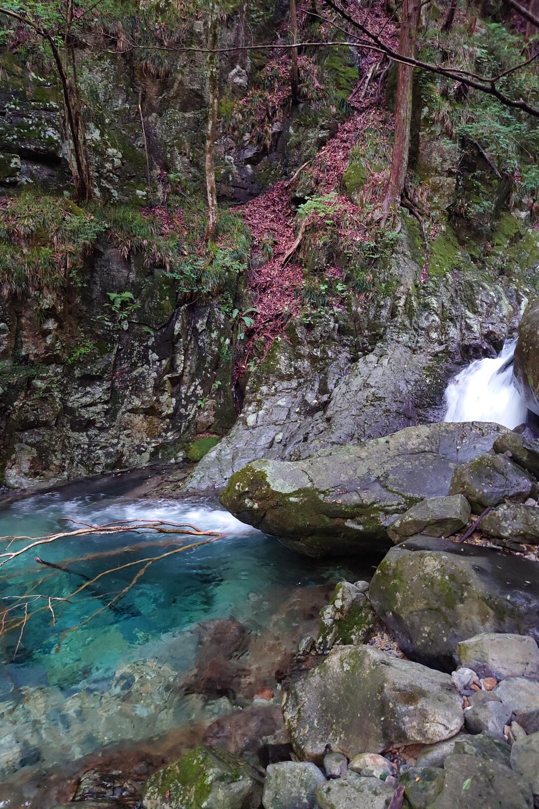 アレルギー治った / palさんの小秀山の活動データ | YAMAP / ヤマップ