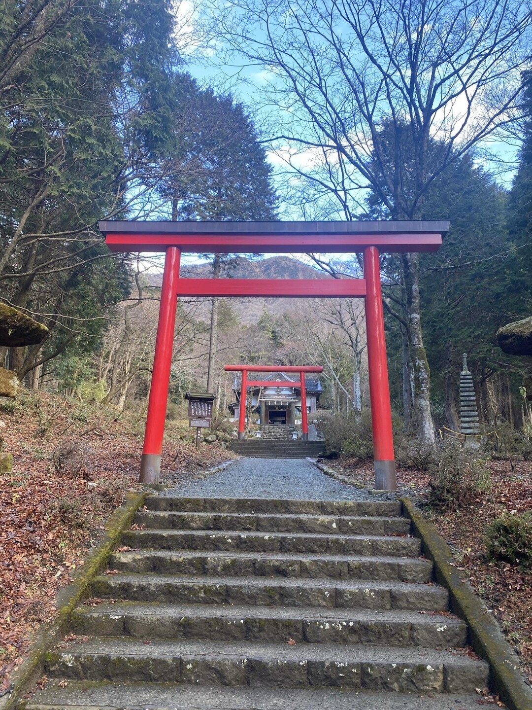 金時山 / OS@MUさんの金時山・明神ヶ岳の活動データ | YAMAP / ヤマップ