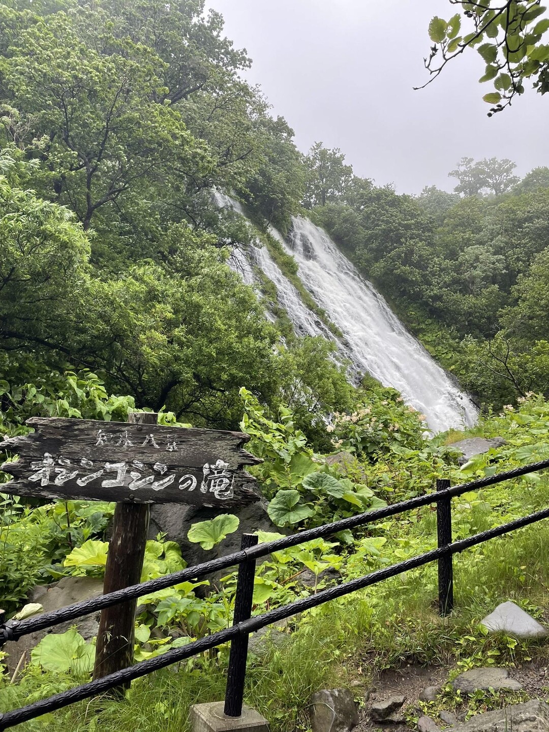天に続く道🛣️→オシンコシンの滝 斜里... / hideshanさんのモーメント | YAMAP / ヤマップ