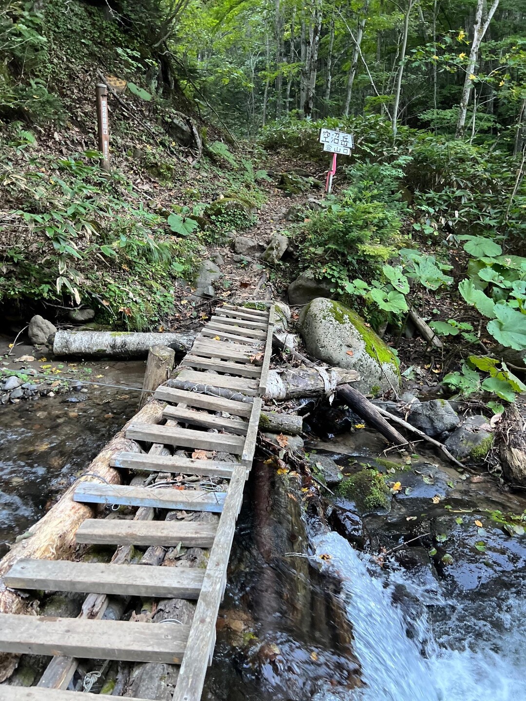 空沼岳🏔️ / cool-moonさんの札幌岳・空沼岳の活動データ | YAMAP / ヤマップ