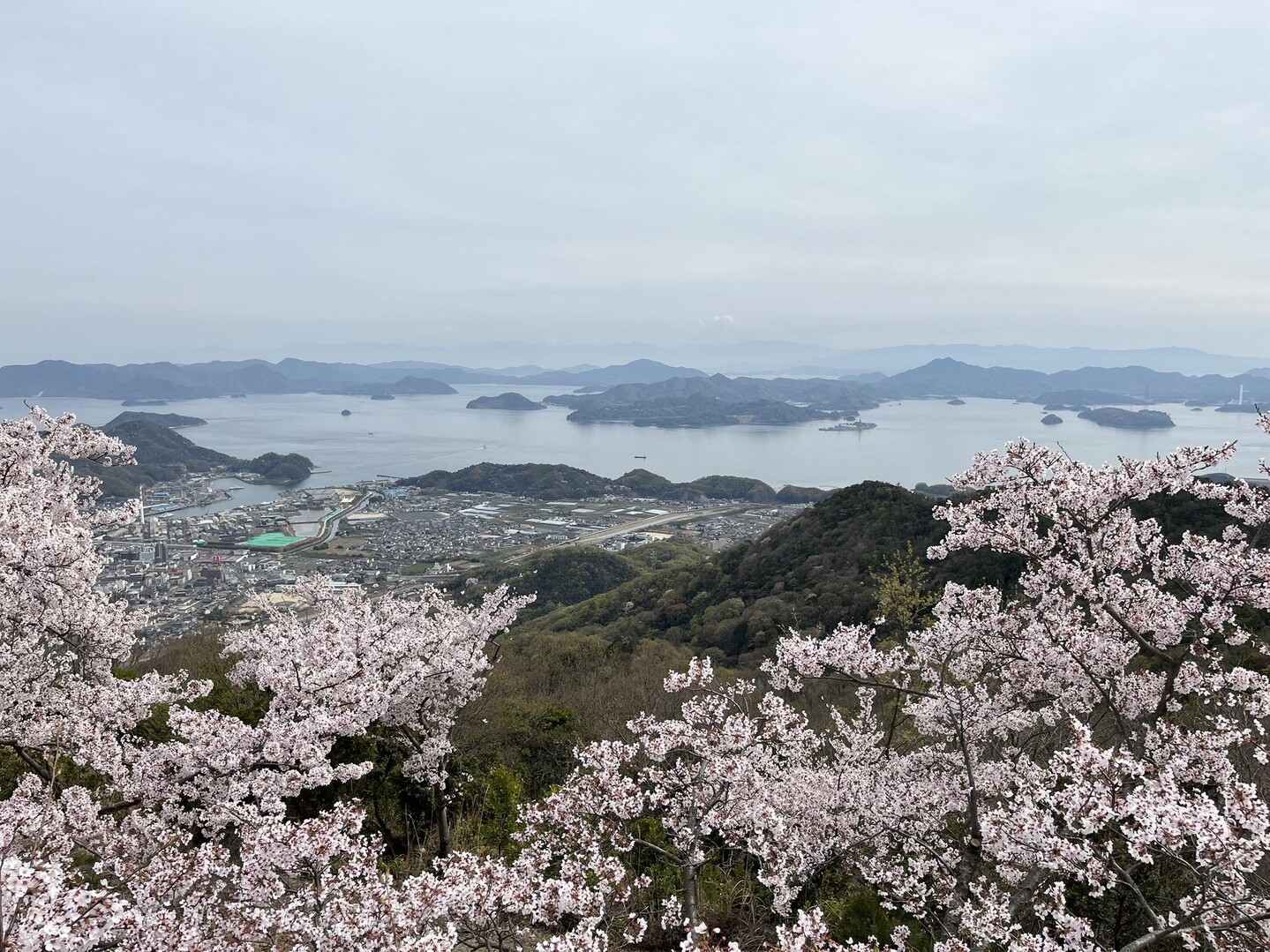 🚗朝日山&宿根の大桜 / mirereさんの朝日山・鷹ノ巣山の活動データ | YAMAP / ヤマップ