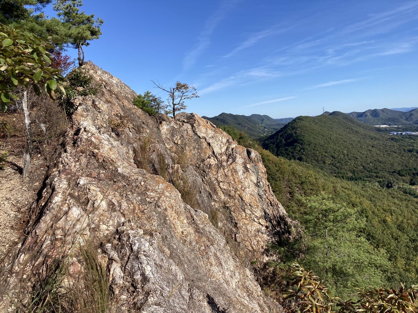 各務原アルプス縦走💦 / BAKUさんの各務原アルプス（関南アルプス）・八木三山の活動データ | YAMAP / ヤマップ