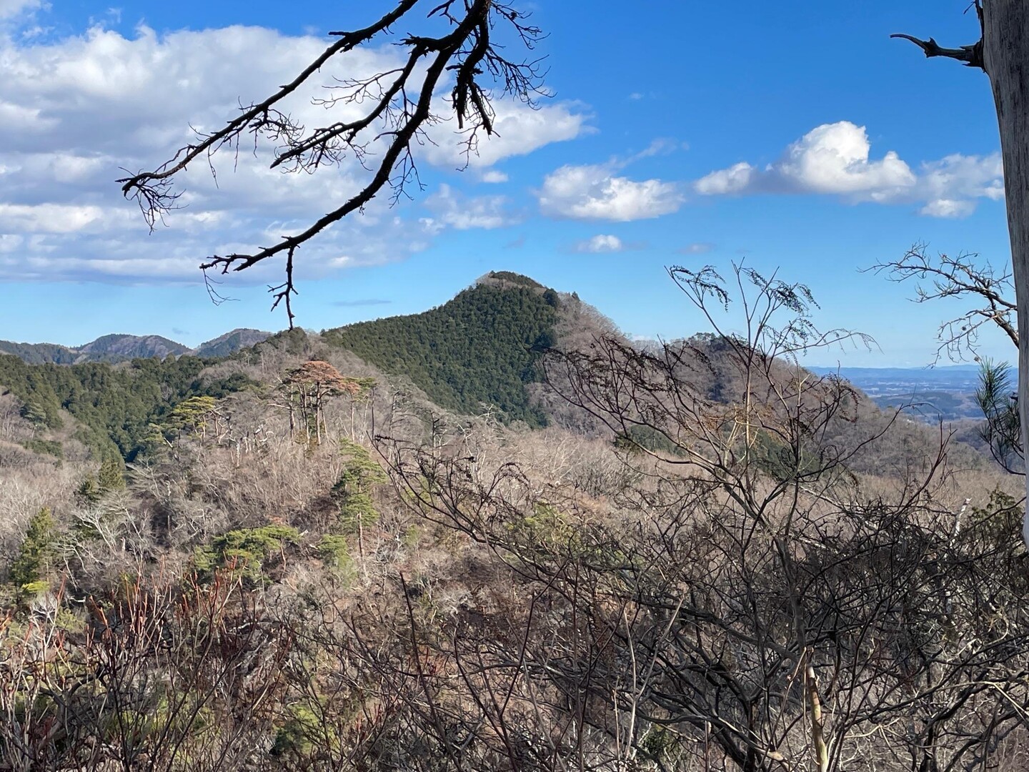 鞍掛山・シゲト山・540P・斑根石山 / tezuuさんの古賀志山・赤岩山・鞍掛山・男抱山・半蔵山の活動データ | YAMAP / ヤマップ