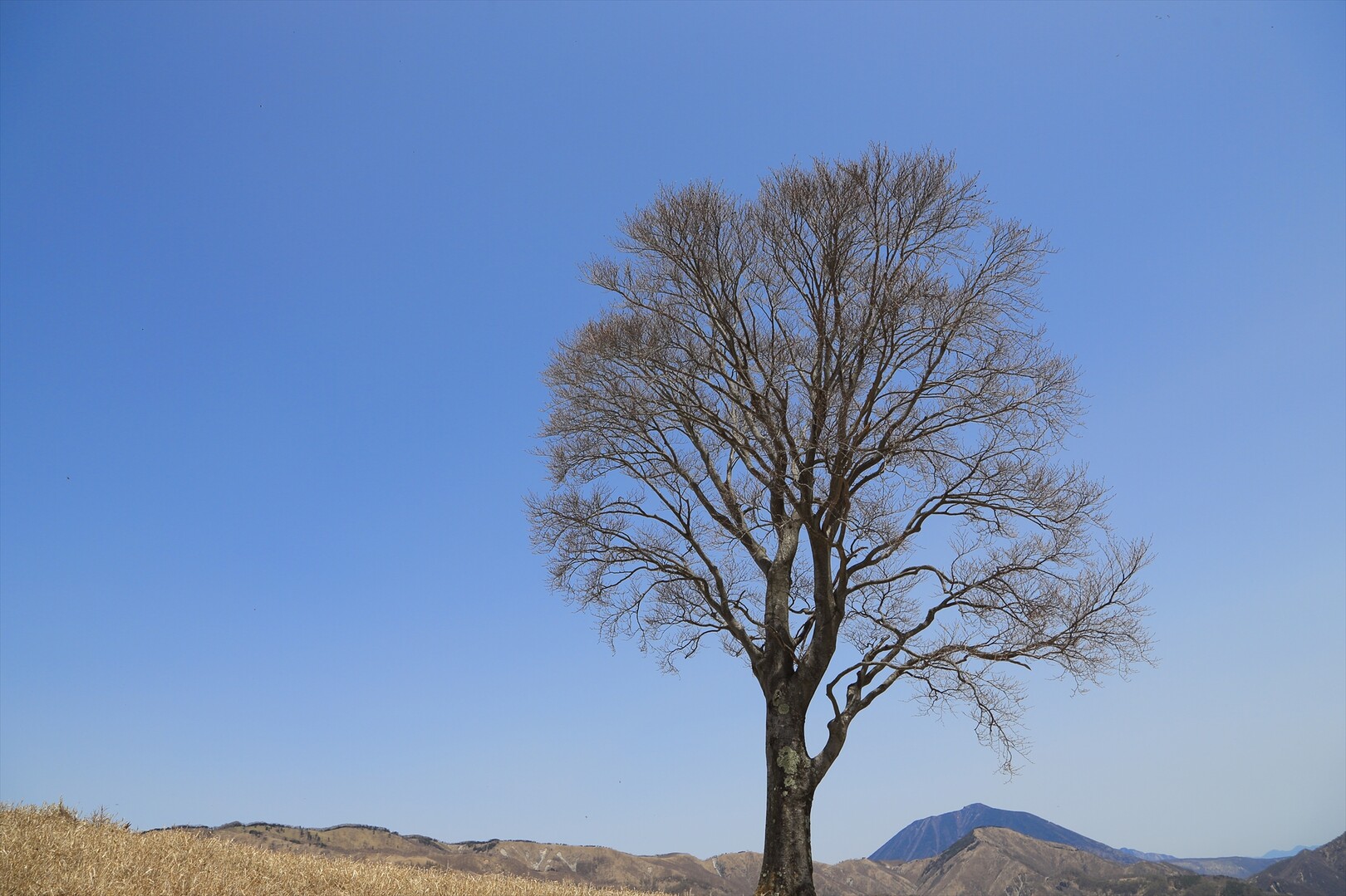 中倉山 / koduckunさんの社山・半月山の活動データ | YAMAP / ヤマップ