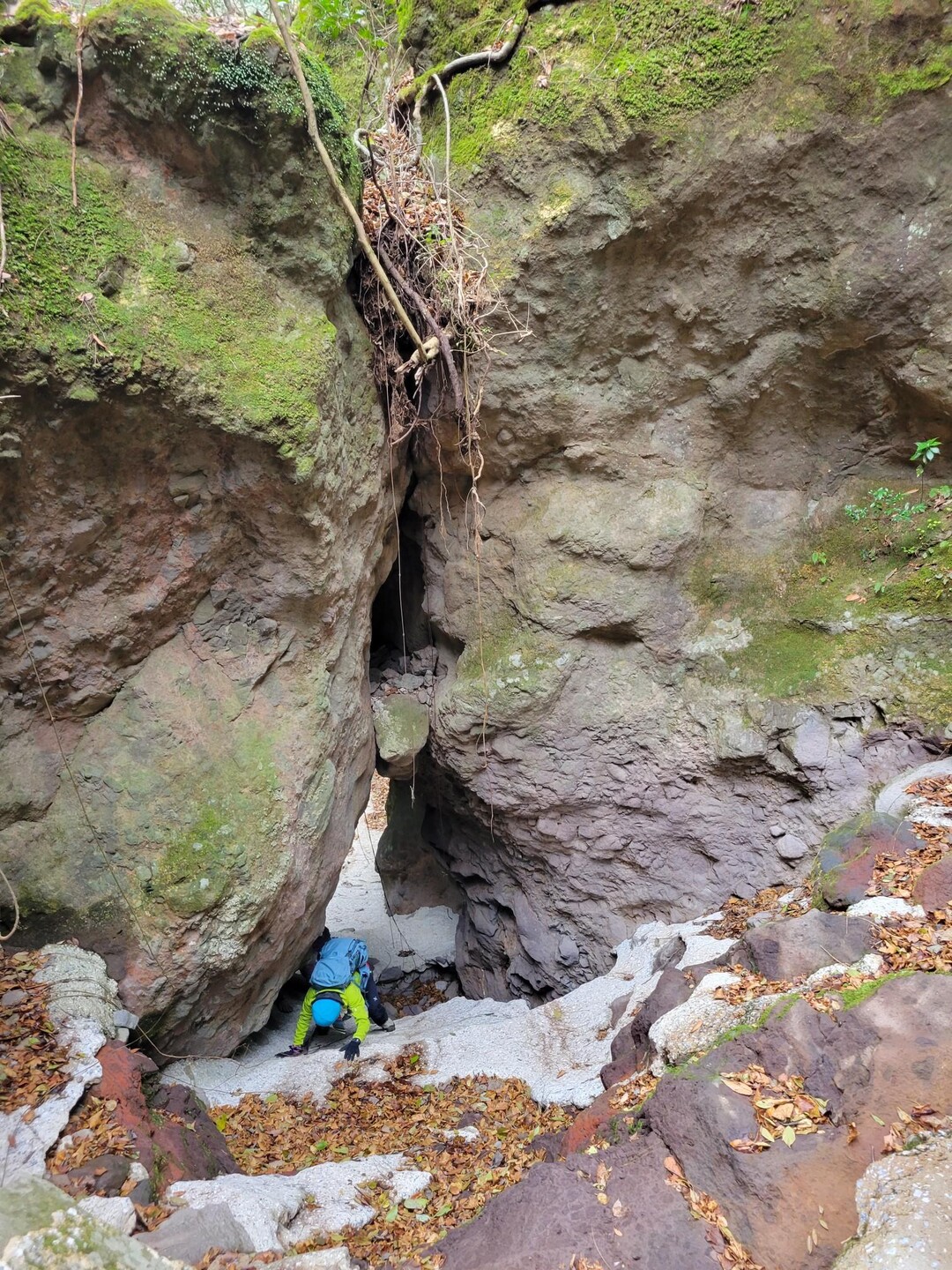 築上町きいのこ山 / Kyonkyonさんの犬ヶ岳・求菩提山の活動データ | YAMAP / ヤマップ