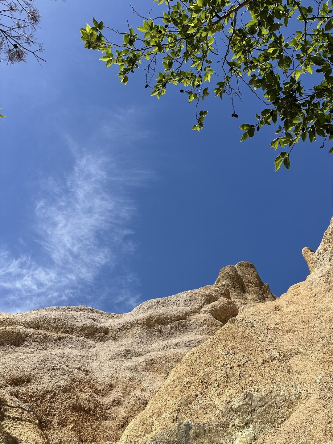 芦屋地獄谷へGO‼️ / ryosui_ さんの六甲山・長峰山・摩耶山の活動データ | YAMAP / ヤマップ