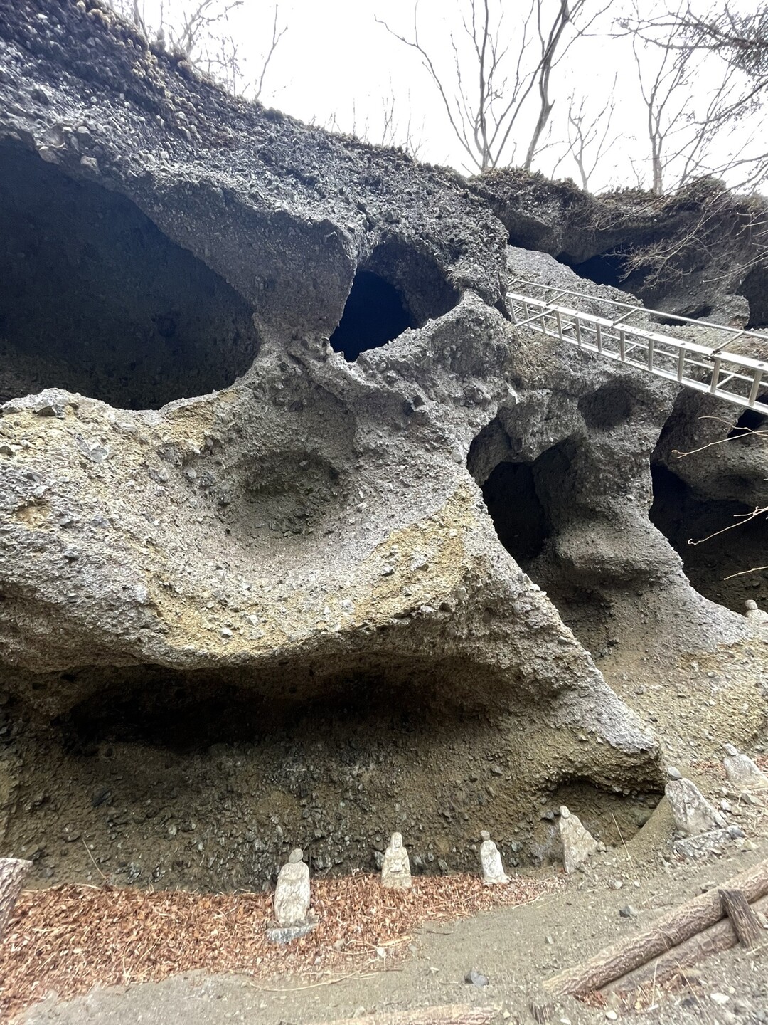 uapapaさんの投稿したフィールドメモ | YAMAP / ヤマップ