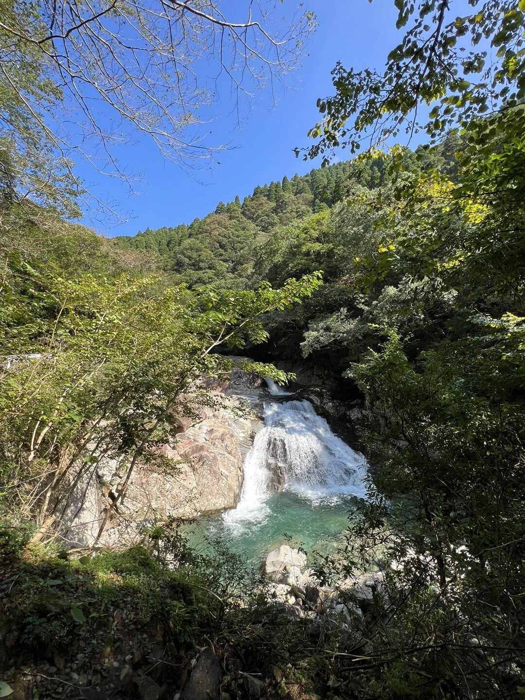 尾鈴山 / kyoopoさんの尾鈴山・長崎尾・矢筈岳の活動データ | YAMAP / ヤマップ