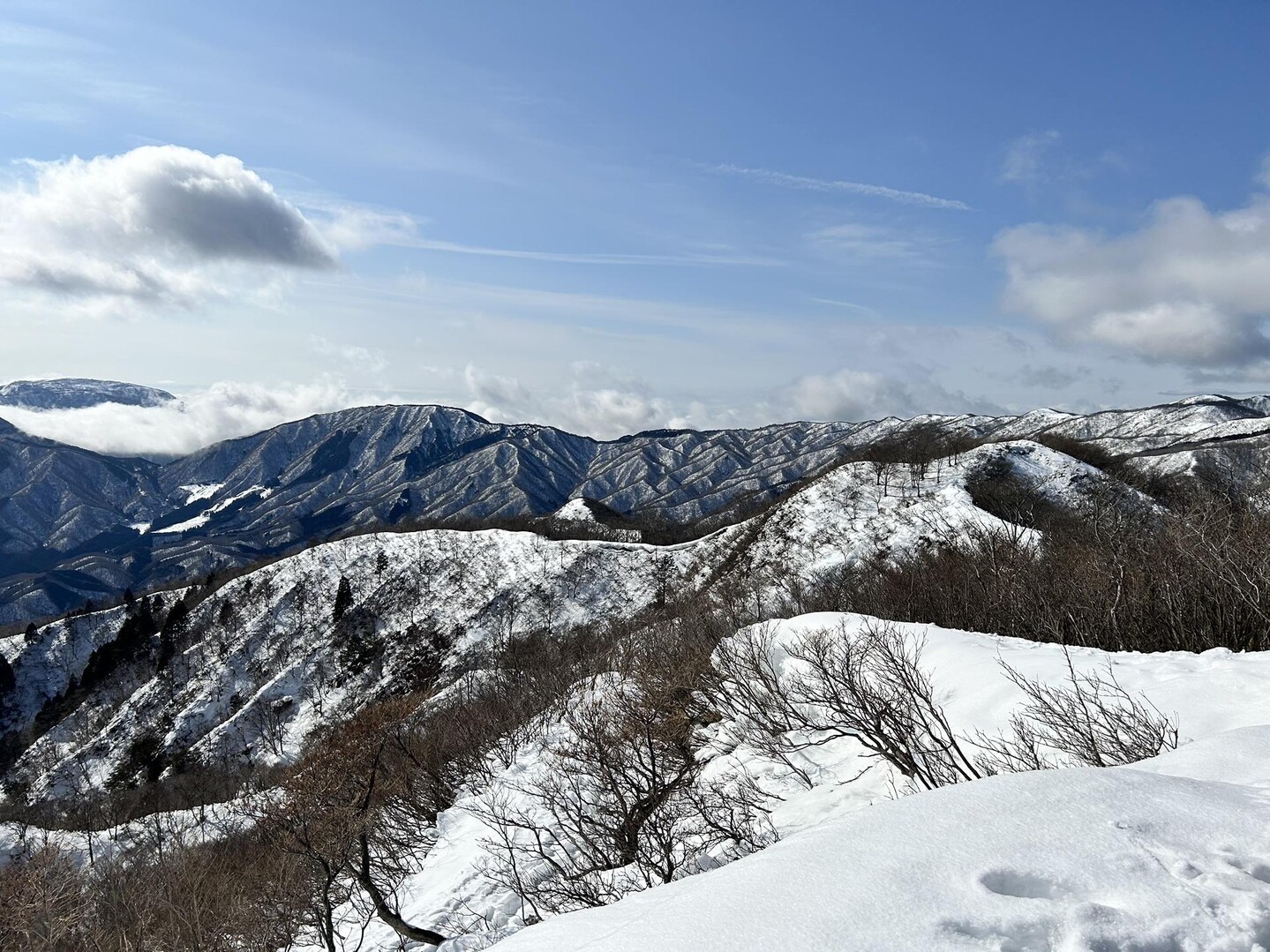雪 ️の小貝月山・貝月山へ ️ / macoさんの貝月山の活動データ | YAMAP / ヤマップ
