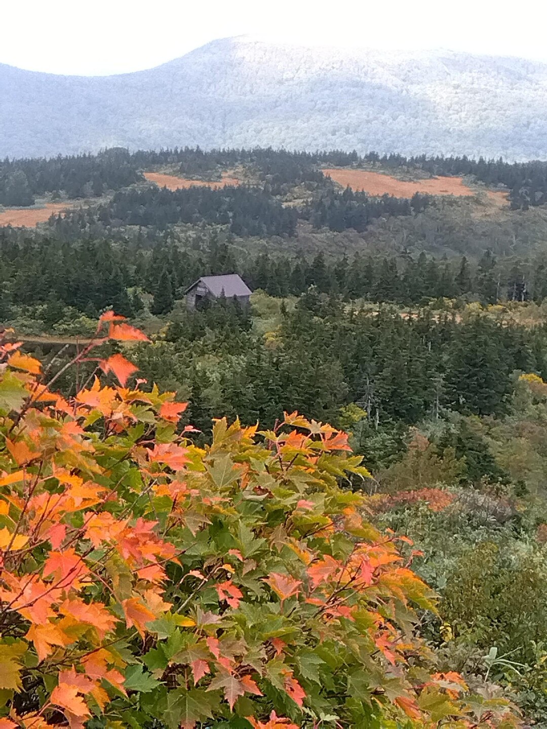 乳頭山 紅葉始まる…水沢温泉の自炊宿も😍 / Mari Lopezさんの乳頭山・湯森山・大白森の活動日記 | YAMAP / ヤマップ