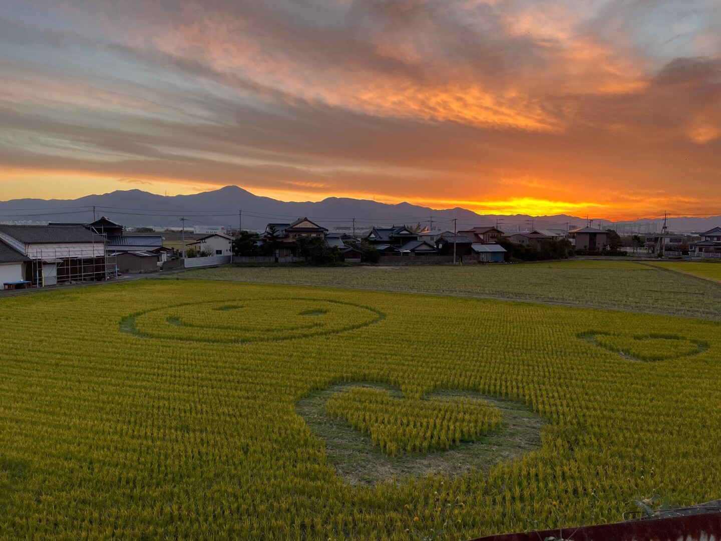 夕暮れのジョギング中、貫山と田んぼのミス... / M.Kさんのモーメント | YAMAP / ヤマップ
