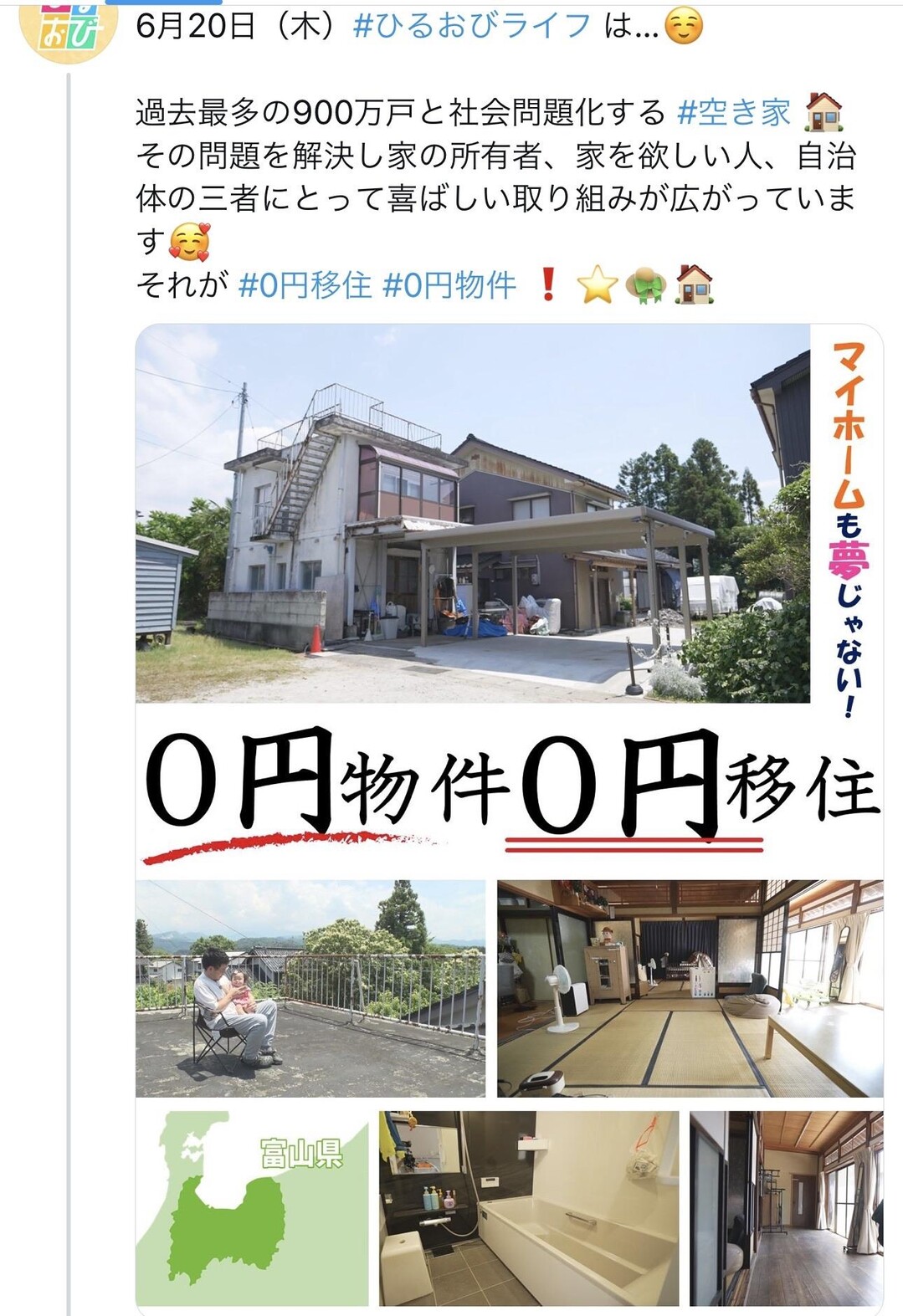 6.20のひるおびは 11時頃から 上市... / おおかみこどもの森づくりさんのモーメント | YAMAP / ヤマップ