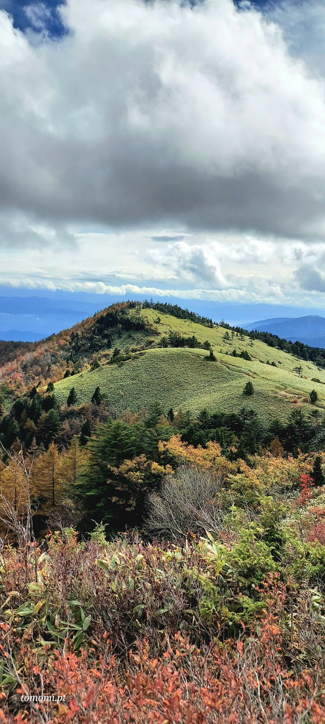 富士見台 / tmmさんの恵那山・大判山・神坂山の活動データ | YAMAP / ヤマップ