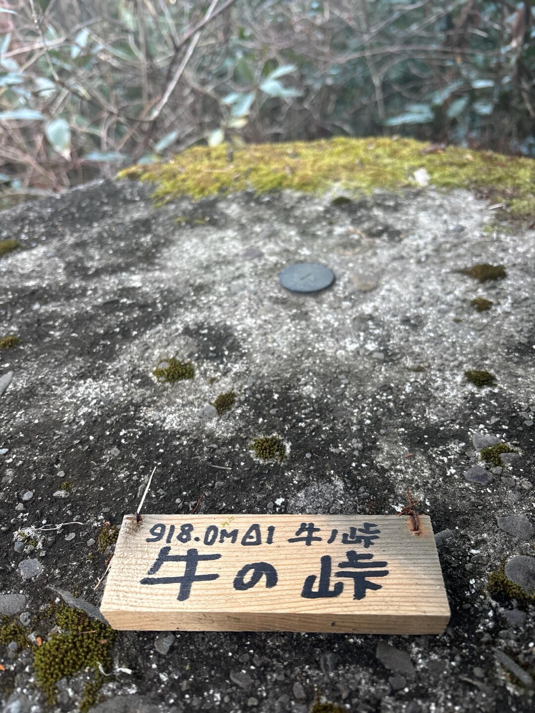 南国遠征④峠なの 山なの 牛の峠 / 🍀kurara🍀さんの牛の峠の活動データ | YAMAP / ヤマップ