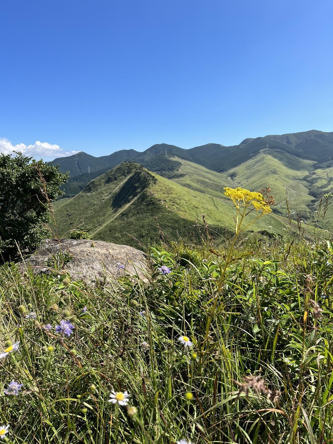 9月29日 阿蘇 一の峯二の峯 / 山猿さんのモーメント | YAMAP / ヤマップ