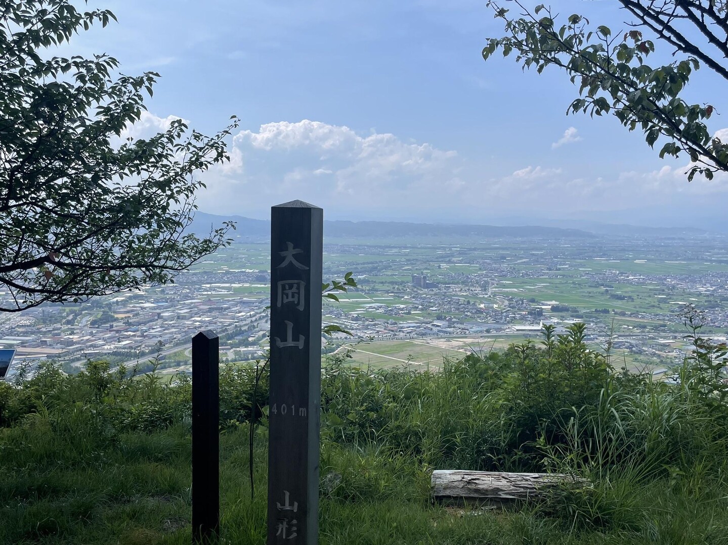 大岡山 / ga -koさんの大岡山・小菰石山の活動データ | YAMAP / ヤマップ