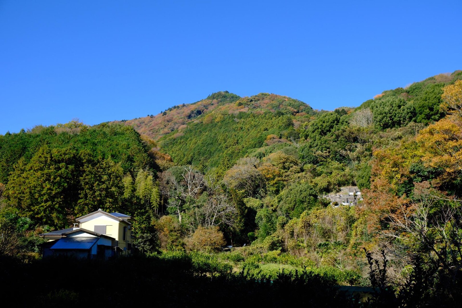 白山・見城山・日向山 / Masashiさんの大山の活動データ | YAMAP / ヤマップ