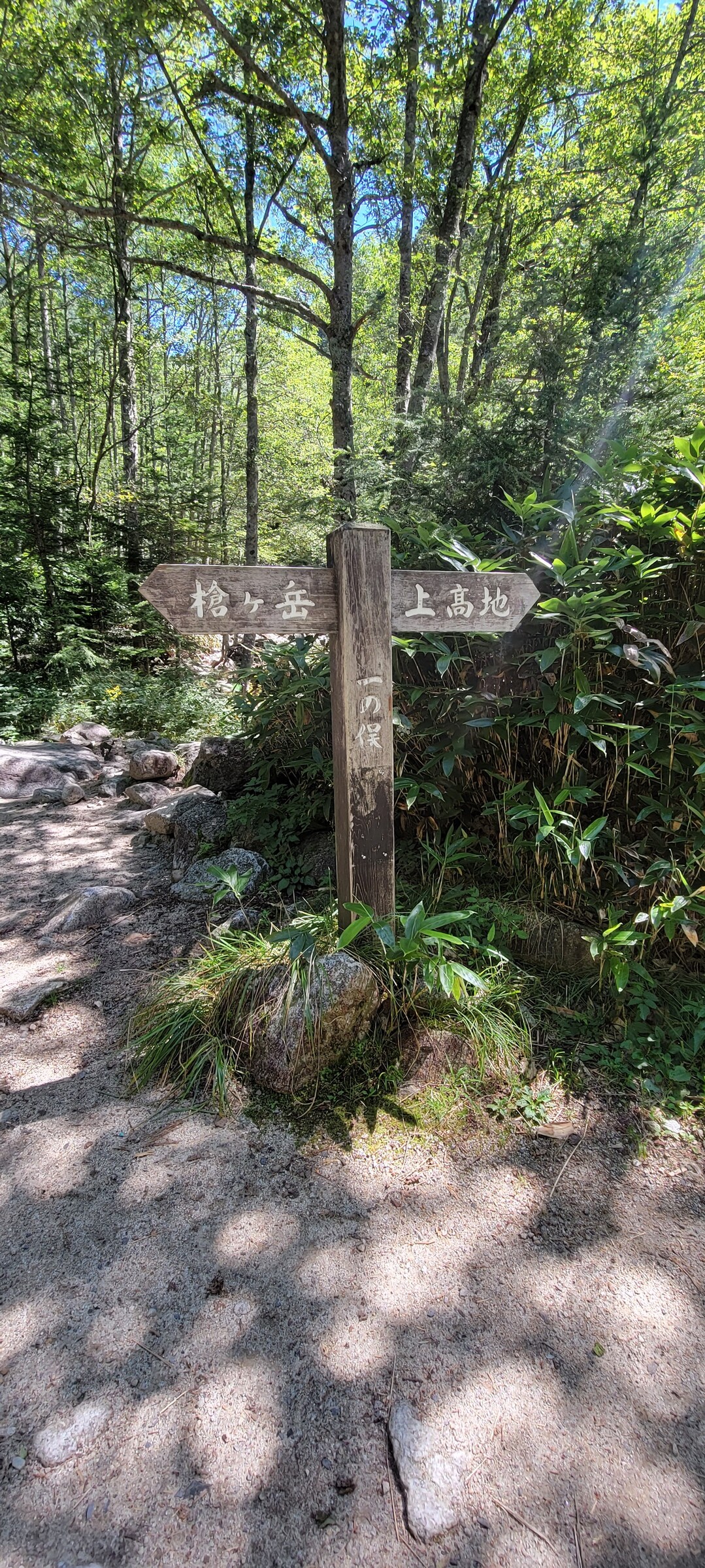 やまちゃんさんの投稿したフィールドメモ | YAMAP / ヤマップ