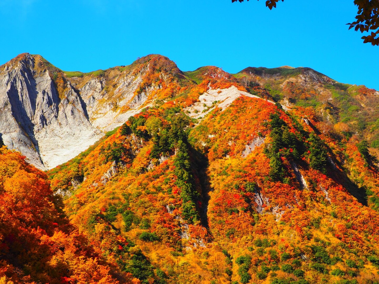 燃える雨飾山🍁 / 天ぷらケンジJyJyさんの雨飾山・大渚山・天狗原山・戸倉山の活動データ | YAMAP / ヤマップ