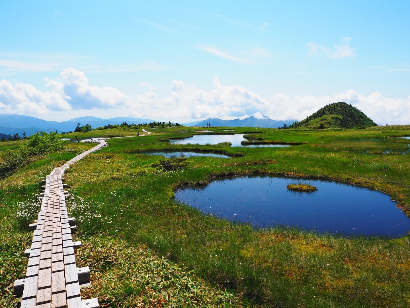 天空の楽園 苗場山 / 天ぷらケンジJyJyさんの苗場山・赤倉山・佐武流山の活動データ | YAMAP / ヤマップ