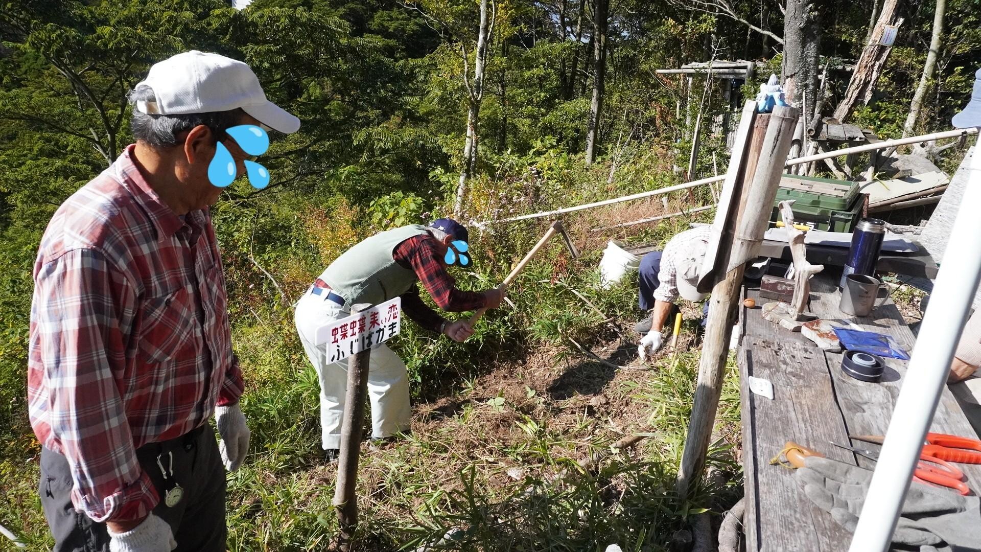 嶽山 朝の山歩 R5-54 / Zatoさんの嶽山・若山・四熊ヶ岳の活動データ | YAMAP / ヤマップ