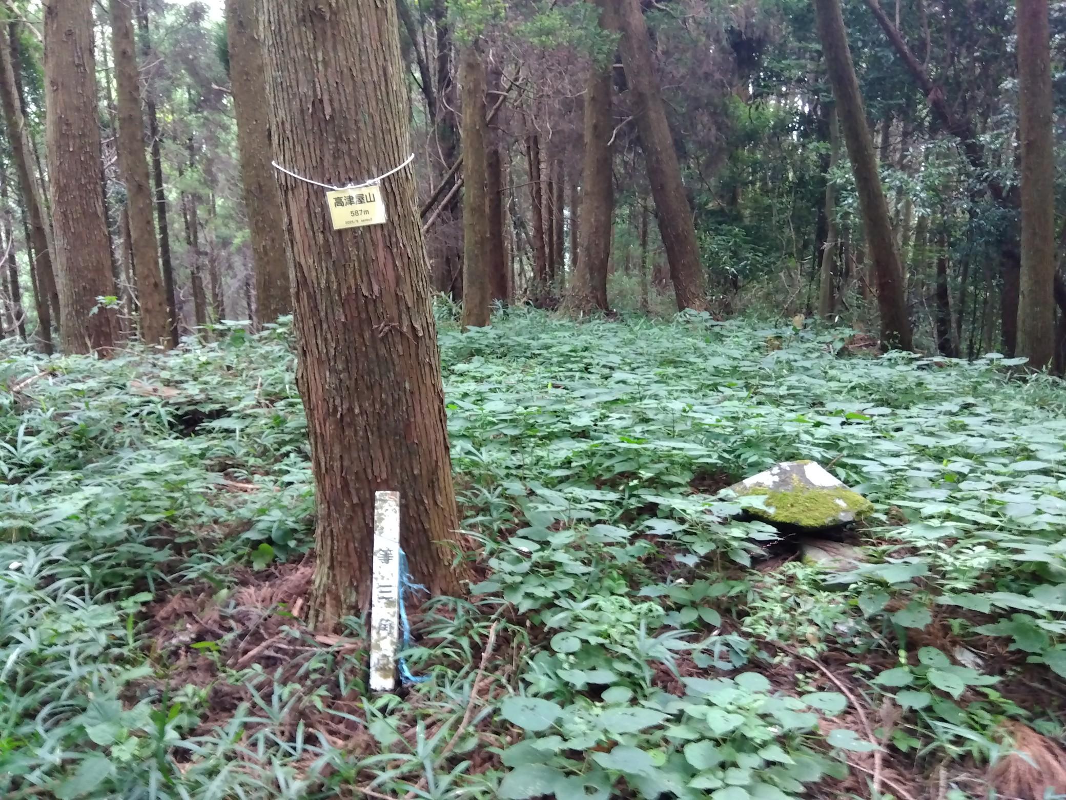 高津屋山 4座目 / senbu2(センブツ)さんの涌蓋山・猟師山の活動データ | YAMAP / ヤマップ