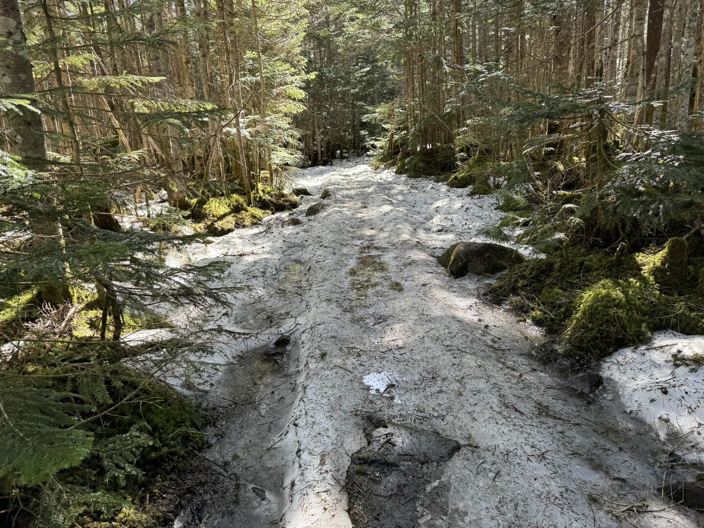 KANTAI山さんの投稿したフィールドメモ | YAMAP / ヤマップ