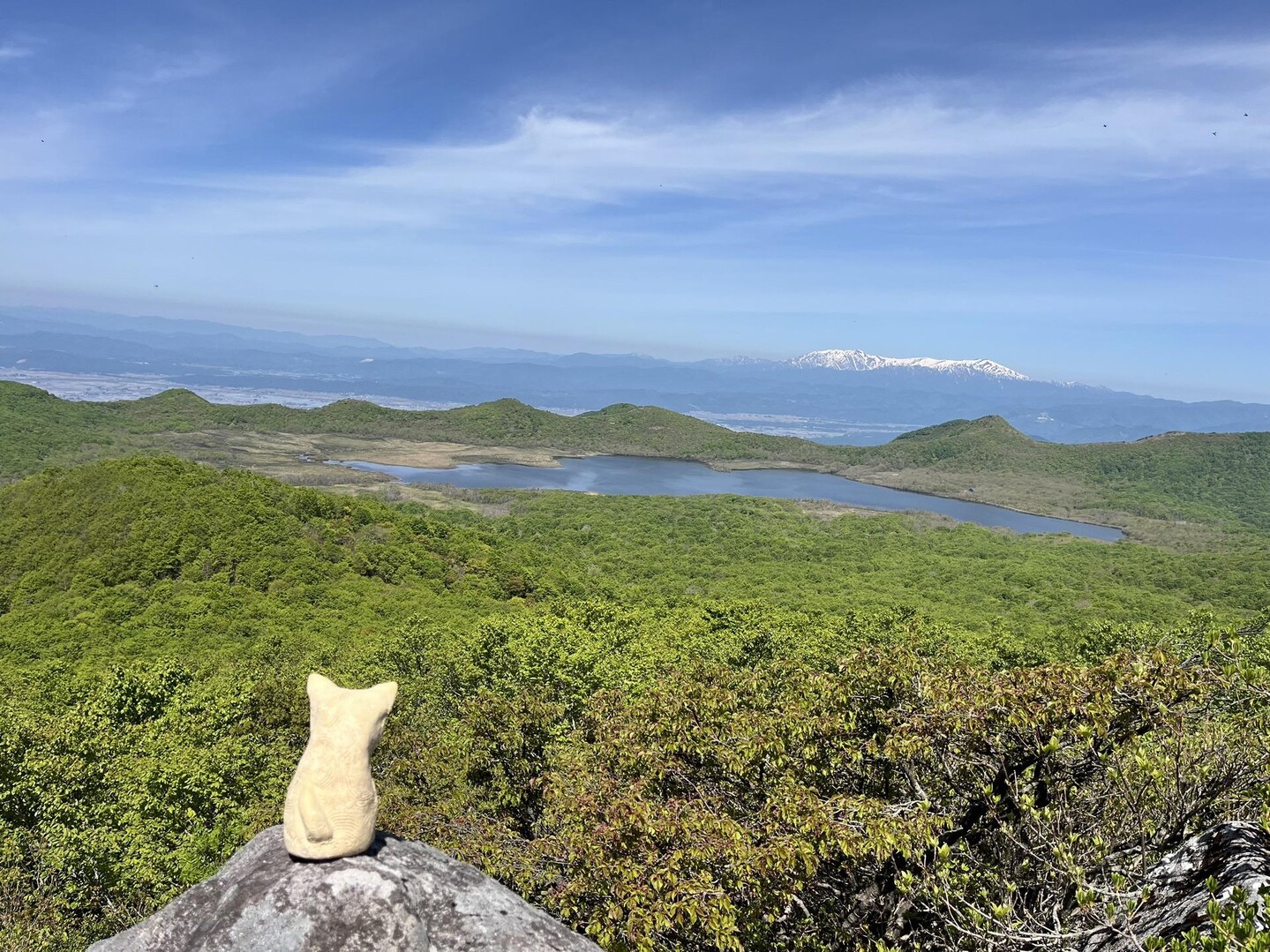リハビリお山歩、ねこちゃんと猫魔ヶ岳 / ®️ieさんの磐梯山・雄国山・赤埴山の活動データ | YAMAP / ヤマップ