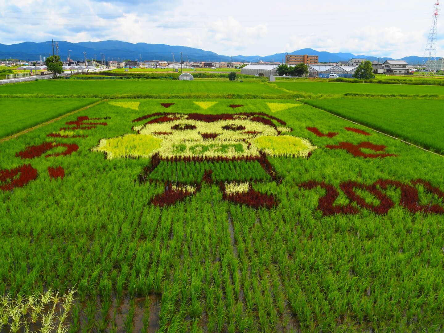 伊勢の田んぼアートが見頃ですよ。 伊勢市... / maboさんのモーメント | YAMAP / ヤマップ