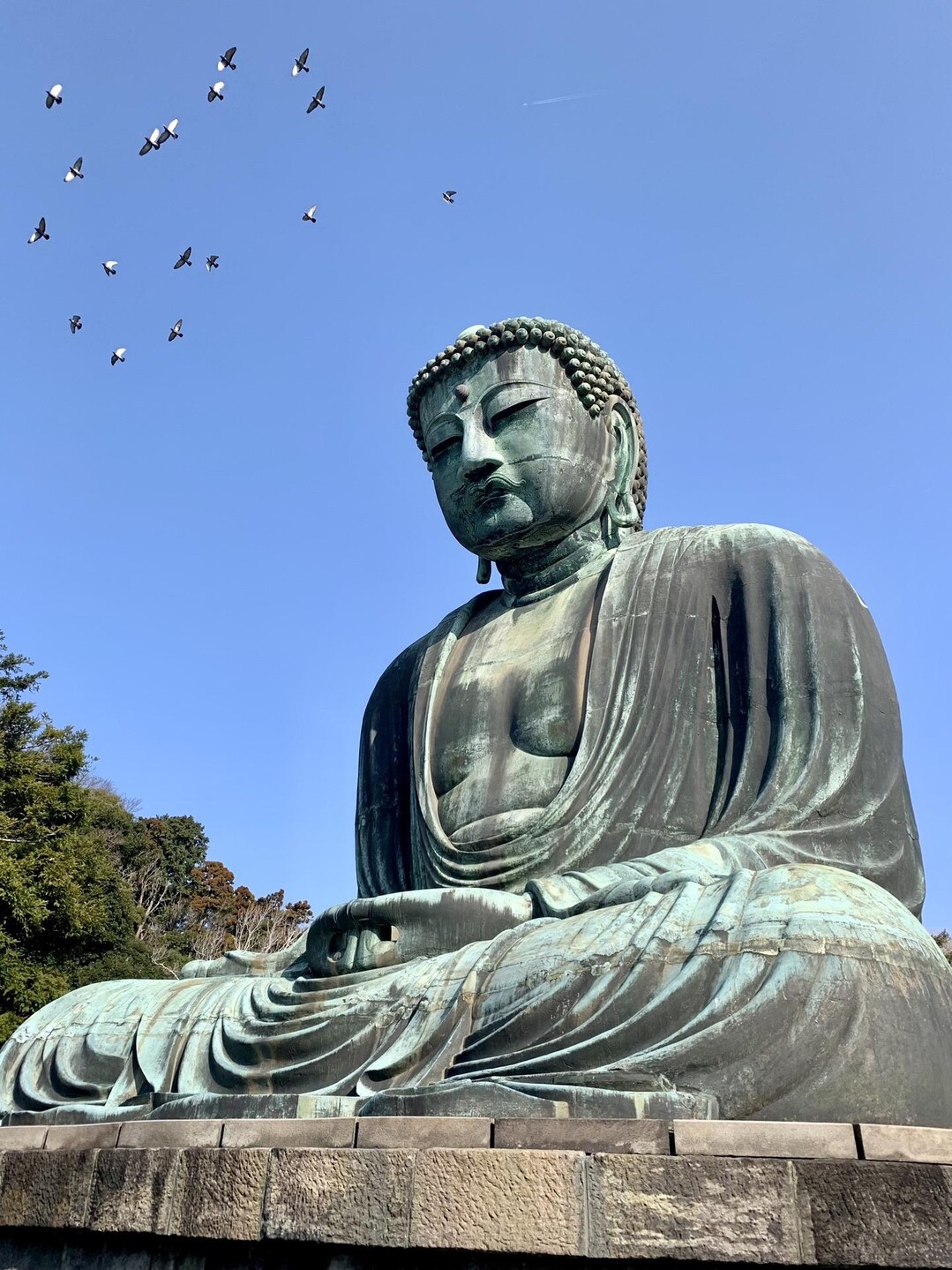 鎌倉アルプス / KAZ-ZUNさんの鎌倉アルプス（大平山・天台山）の活動データ | YAMAP / ヤマップ