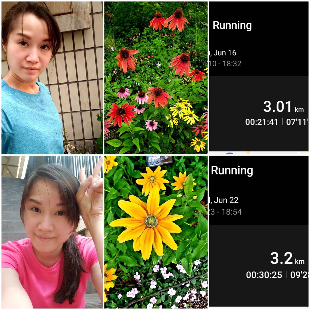 今日は、いつもの3kmに200mを追加し... / キリンさんのモーメント | YAMAP / ヤマップ