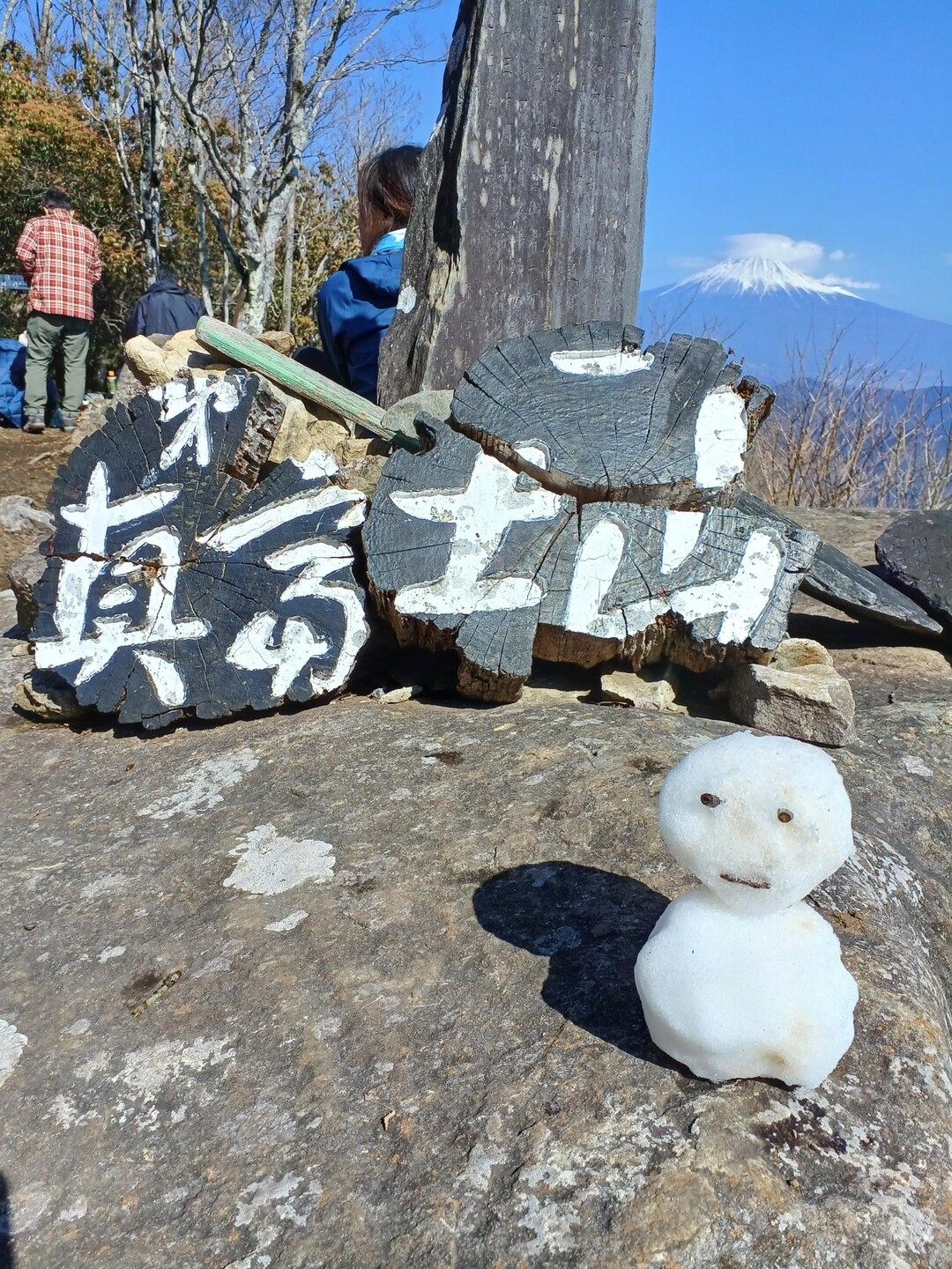 真富士山 / Te ruさんの真富士山の活動データ | YAMAP / ヤマップ
