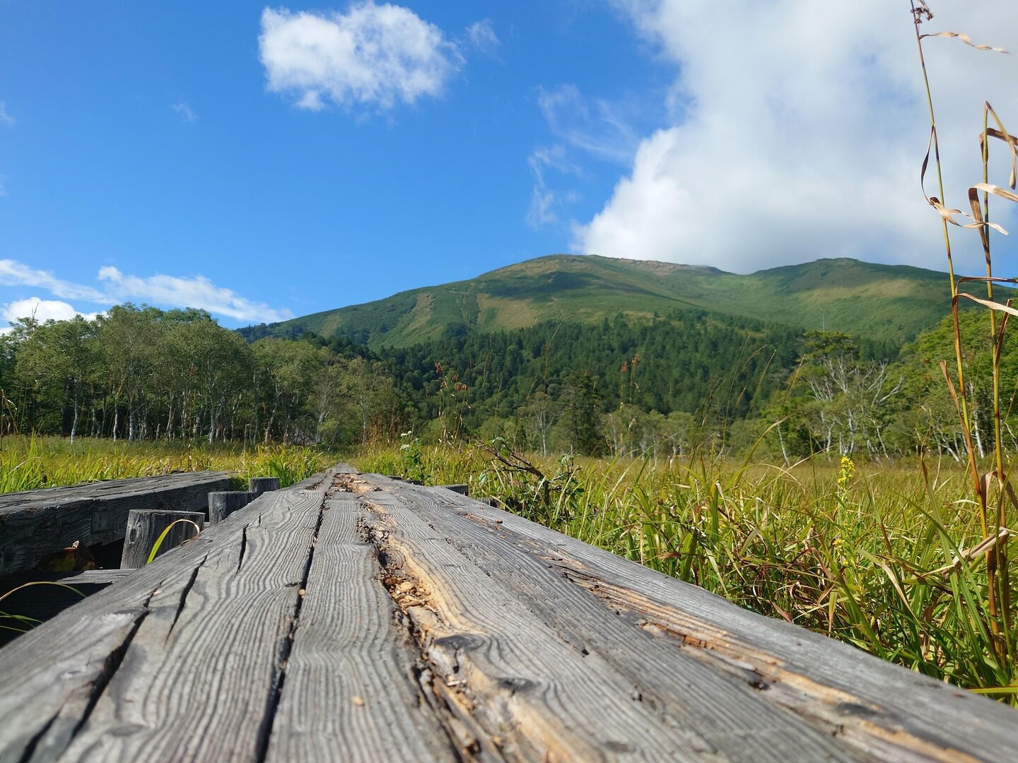 尾瀬ヶ原で、憧れのテン泊！ / Kawaharaさんの尾瀬・燧ヶ岳の活動データ | YAMAP / ヤマップ