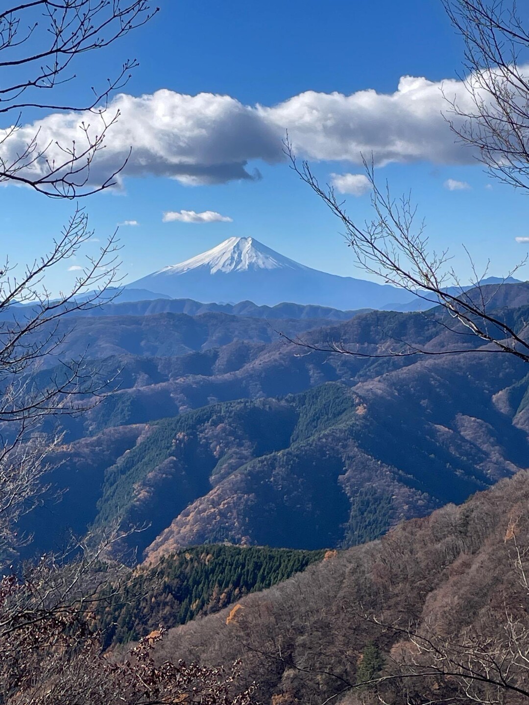 奥多摩湖BS→指沢山→惣岳山→ソーヤノ丸デッコ→御前山→境橋BS / ゆみさんの大岳山・御岳山・御前山の活動データ | YAMAP / ヤマップ