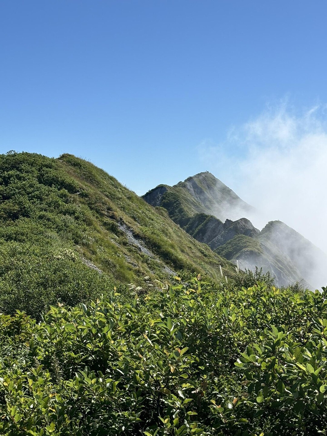 good timing 大山（弥山） / おぐちゃんさんの大山・甲ヶ山・野田ヶ山の活動データ | YAMAP / ヤマップ