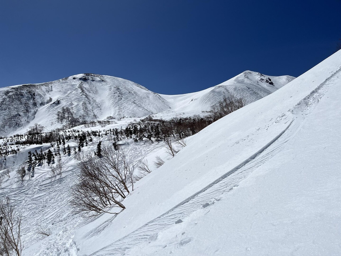 DEAD🙃or🙂ALIVE 乗鞍の壁 / MK2さんの乗鞍岳の活動データ | YAMAP / ヤマップ